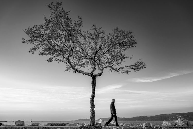 Alkiviades Konstantopoulos # Greece # The Man and the Tree (Street ...